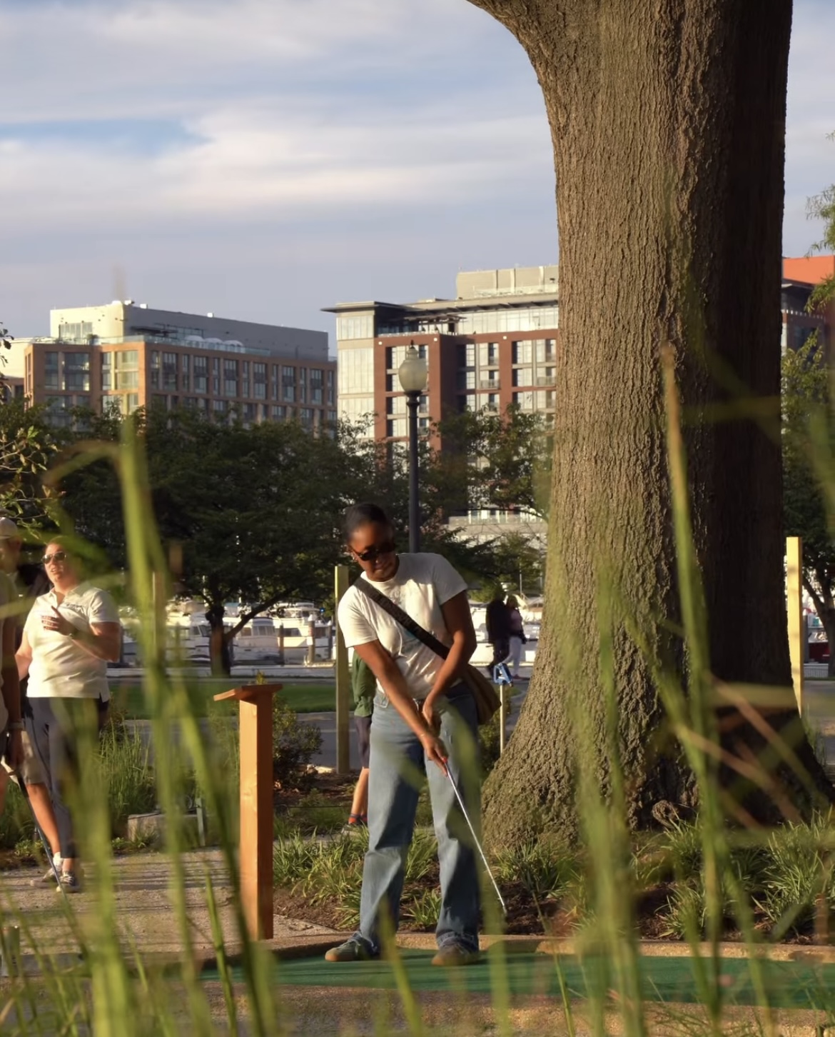 The Miniature Golf Course - playDCgolf