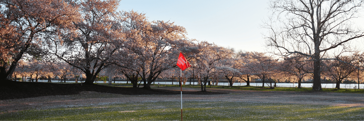 Operation 36 Beginner Program - playDCgolf